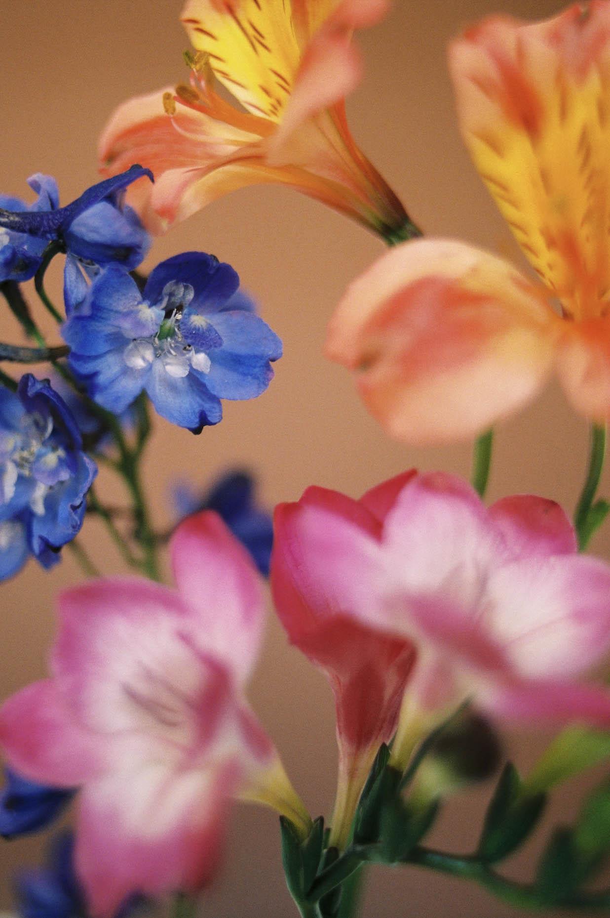 SAGRADA SESSIONS with Penny Dunn